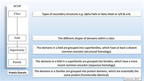 Protein Structure Classification Domain Prediction Scop And Cath Bioinformatics Pdf