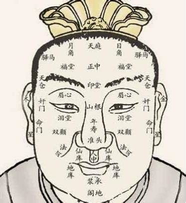 面相学图解师傅教你如何用面相学去认识一个人 每日头条