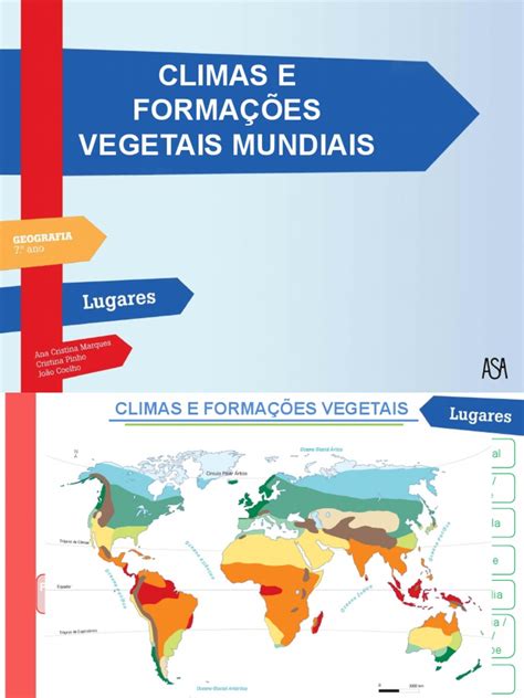 Climas E Formações Vegetais Mundiais Pdf Florestas Clima Temperado