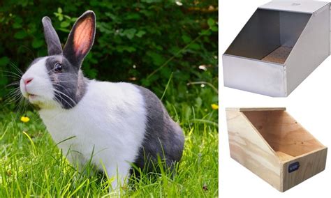 The Essential Guide To Rabbit Nesting Box Dimensions