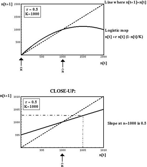 Equilibrium Biology