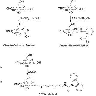 Derivatization Methods For The Quantification Of REGs Download Scientific Diagram