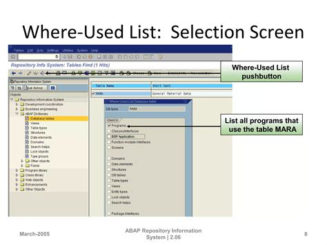 Chapter 06 Abap Repository Information System1 Ppt