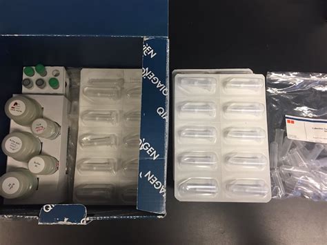 Qiagen Kit For Dna Extraction From Whole Mouse Blood
