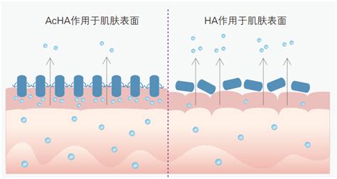 眼花缭乱的透明质酸 知乎