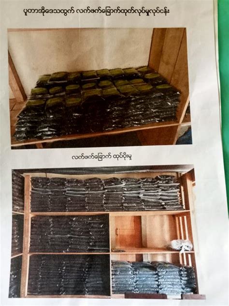 ပူတာအိုဒေသတွင် လက်ဖက်စိုက်ဧက ၄၀၀ ကျော်စိုက်ပျိုးပြီး ဖါ့ခါး Paq Ka အမ