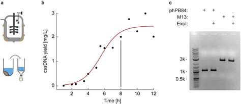 Batch Fermenter Production Of Pure Cssdna A Scalable Production In A