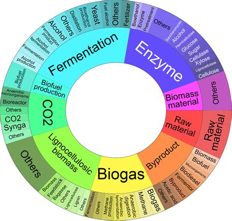 Clustering And Main Subclassifications Of The Concepts Related To Download Scientific Diagram