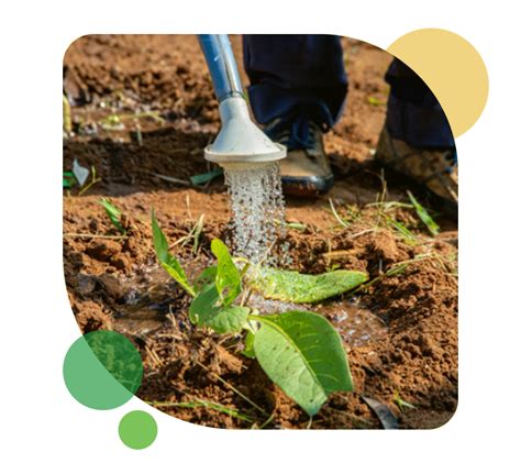 토종종자 보존관리지원 파머스드림