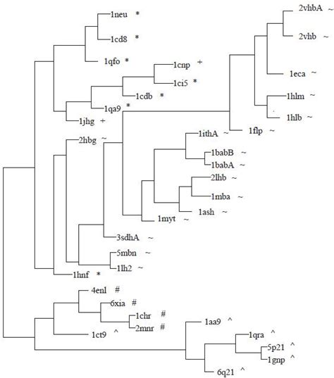 Figure S3 The Phylogenetic Tree Of 36 Protein Sequences Constructed In