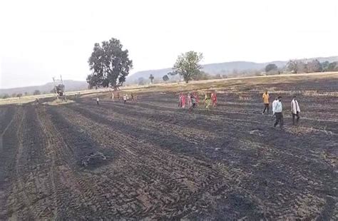 सागर ढोलबजा गांव में 20 एकड़ खेत में खड़ी गेहूं की फसल खाक Patrika News