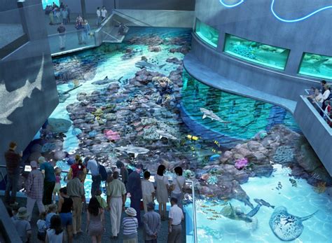 Baltimore Aquarium National Aquarium In Baltimore Tips Tours And