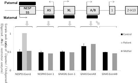 Pseudohypoparathyroidism Chart