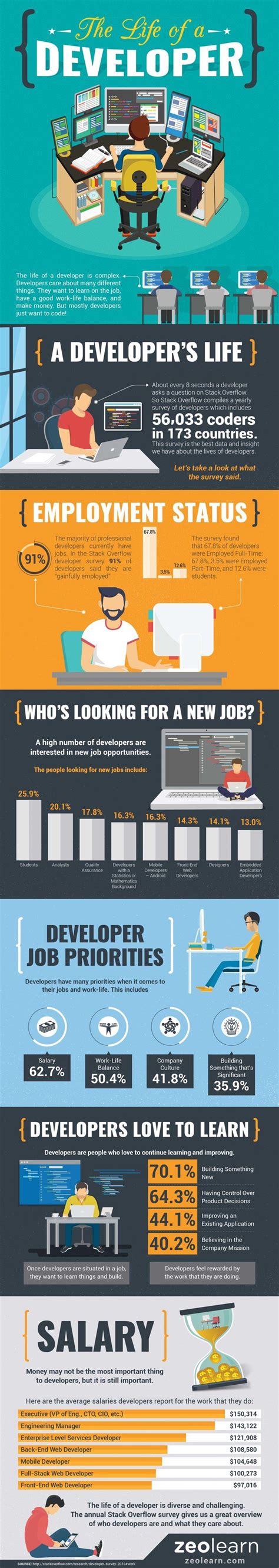 The Life Of A Developer Infographic Visualistan