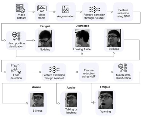 Overview Of The Proposed Model Download Scientific Diagram