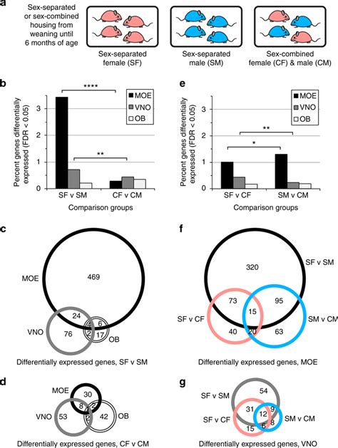 Sex Separation Induces Gene Expression Differences Between Male And Download Scientific Diagram