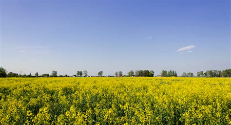 Projet Ferti Dig Atee