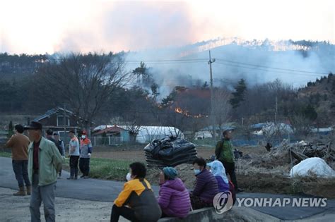 홍성·대전서 대형 산불산불 3단계 밤샘 진화종합3보 나무뉴스