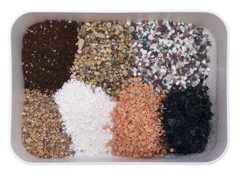 Plastic Box With Substrate Soil For Transplanting Houseplants Isolated