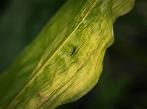 Narendra Modi Wallpaper Photos Download The Best Free Narendra Modi