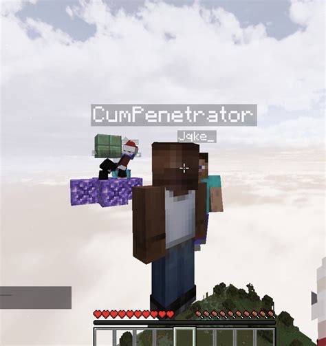 Minecraft Java Bad Usernames 17 Minecraft Fan Art 45110507 Fanpop