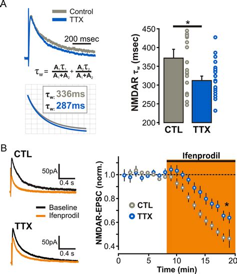 Homeostatic Shift In Synaptic Nmdar Subunit Composition In Response To Download Scientific