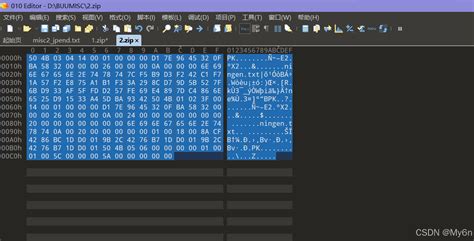 Ctf杂项入门(buuctf Misc第一页)buuctf杂项 Csdn博客 Ctf杂项入门(buuctf Misc第一页)buuctf杂项 Csdn博客