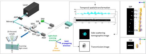 3d Imaging Flow Cytometer 3d Ifc Dual Modality Imaging System Aod Download Scientific