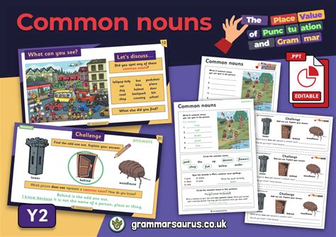 Year 2 The Place Value Of Punctuation And Grammar Common Nouns Grammarsaurus