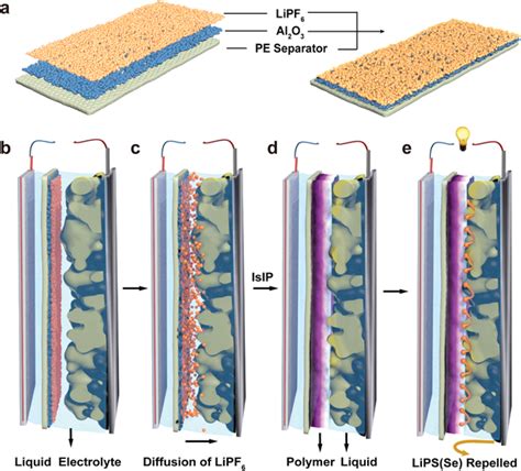 Schematic Illustration Showing The In Situ Interfacial Polymerization