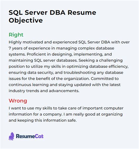 Top 17 SQL Server DBA Resume Objective Examples ResumeCat