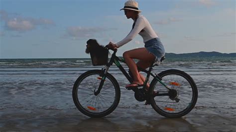 9742 Beach Flashing Stock Videos Footage And 4k Video Clips Getty Images