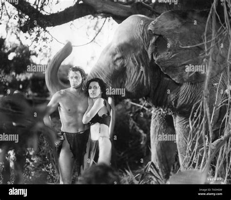 Johnny Weissmuller As Tarzan Maureen O Sullivan As Jane Tarzan And His Mate Director Cedric