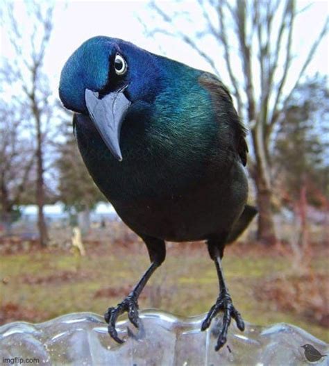 Building Query Strings From Objects In Javascript By Louis Trinh Medium