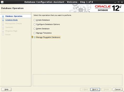 Oracle Database 12c R1 Database Multitenant Oracle Brasil