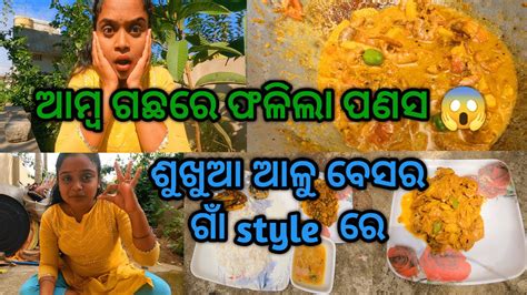 ଶୁଖୁଆ ଆଳୁ ବେସର ଗାଁ Style ରେ Puri Vlogger Sony Village Lifestyle