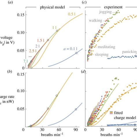 Modelexperiment Set Up A An Oscillating Flow Causes An Oscillating