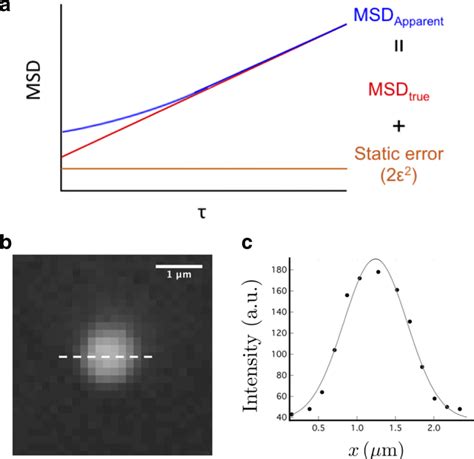 A Schematic That Illustrates How The Static Error Affects The True Download Scientific Diagram