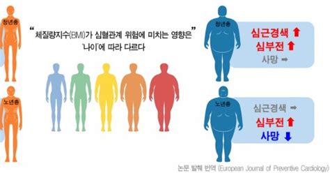 젊은층 비만·노년층 저체중 심혈관계 질환 위험 높아