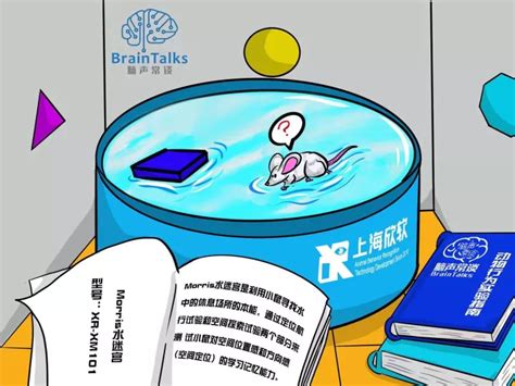 Morris水迷宫实验指标与注意事项 适于初学者及实验前学习 知乎