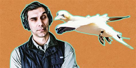 Tracking Methods How We Know Where Birds Go Podcast Episode