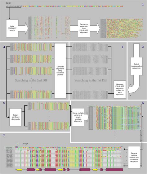 Main Steps In The Psi Blast Iss Execution Psi Blast Iss Comprises