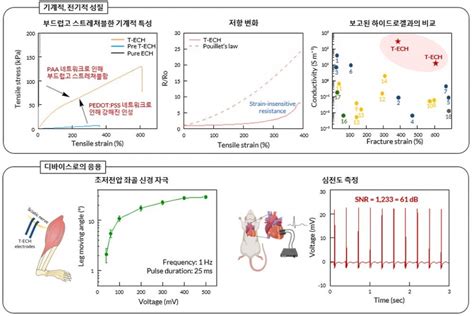 염증없이 체내·외 측정 가능한 전자 신소재 개발 의협신문