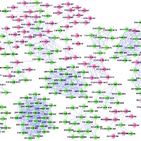 Modules Of The Gene Functional Interaction Network Download