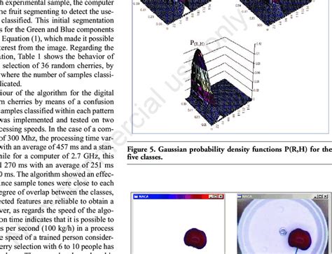 Typical Sample Of Segmentation Displayed By The Computer Code Download Scientific Diagram