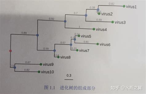 手把手教你绘制进化树（理论与实践） 知乎