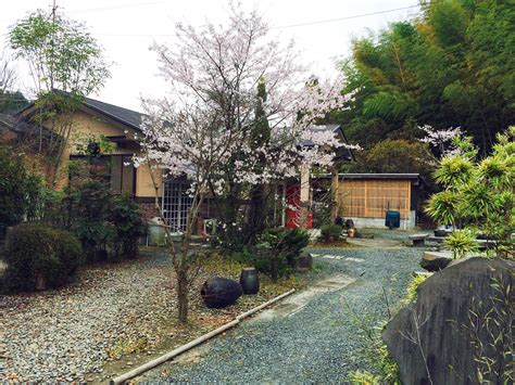 鹿児島で木材運搬のトップシェア有限会社飛鳥運輸求人募集中