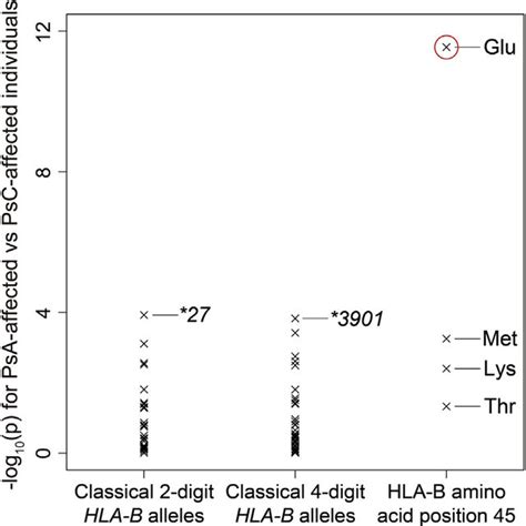 Associations Of Classical Hla B Alleles And Hla B Amino Acid Position