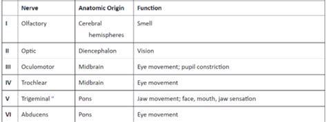 Quiz 1 CSD 528 Flashcards Quizlet