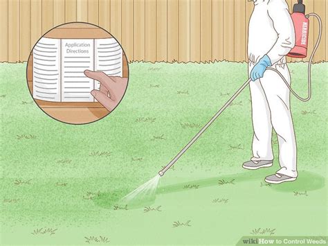 Ways To Control Weeds WikiHow Life